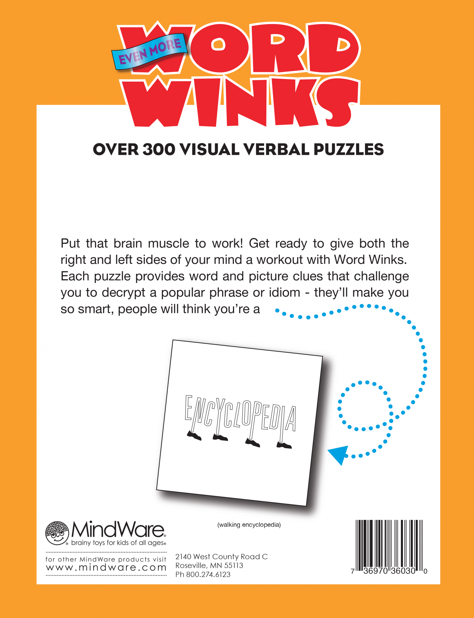 The STEAM Room » Word Winks: Even More